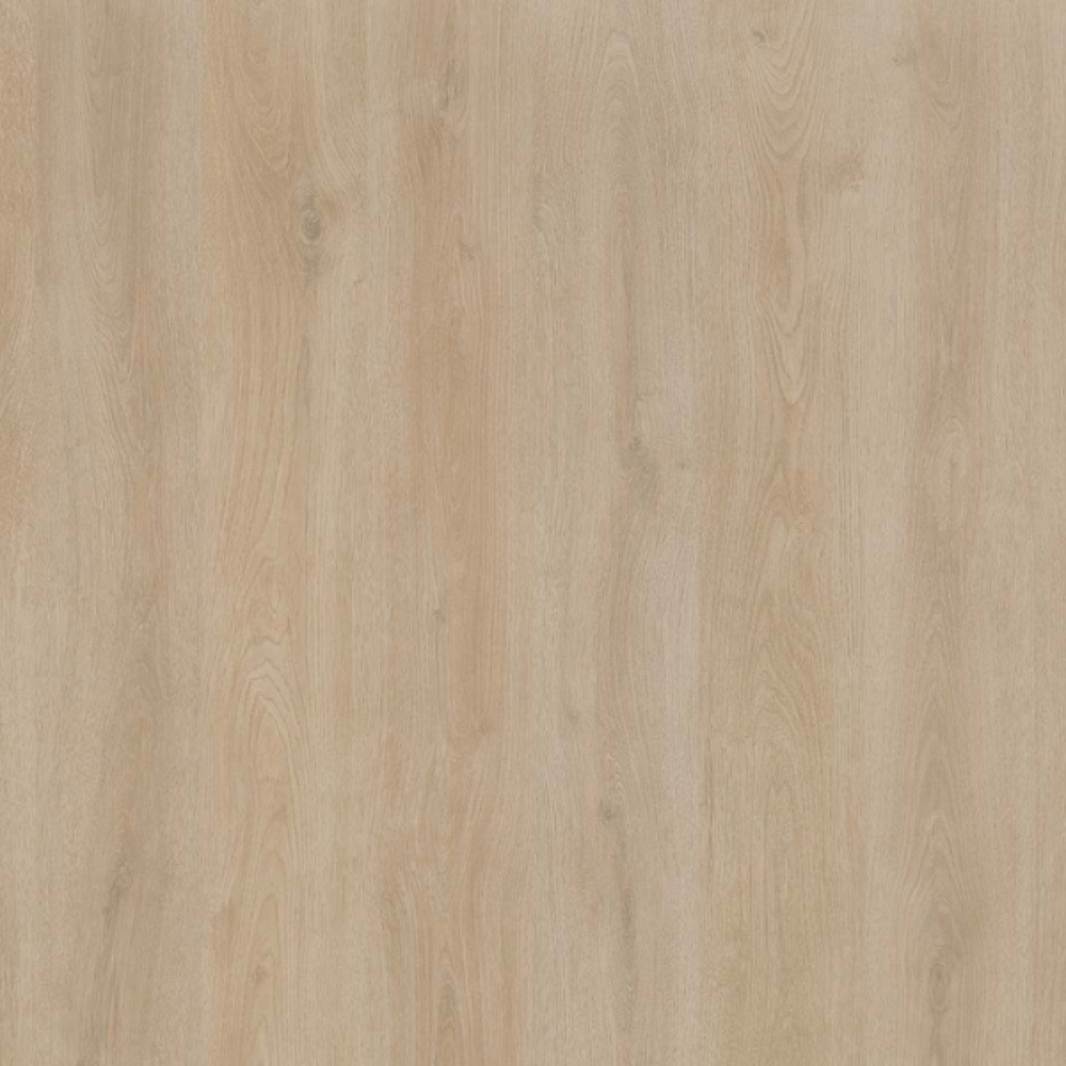 Laminaat 8 mm Elegant eiken beige D3902